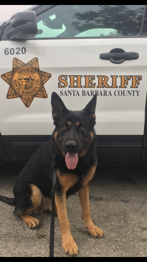 Sheriff's Roundup – Santa Barbara County Sheriff's Office