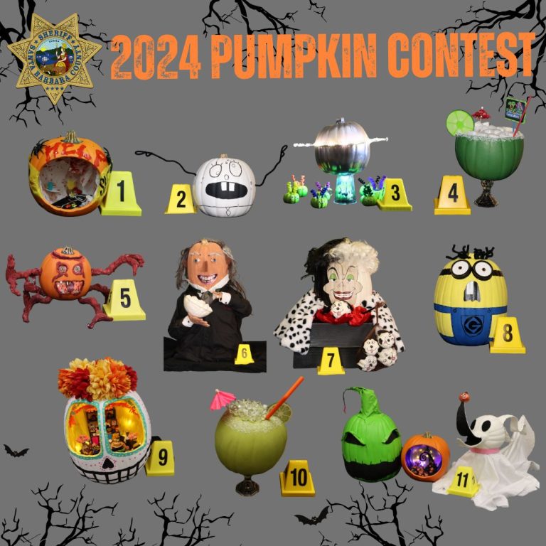 Sheriff’s Office Showcasing Pumpkin Decorating Contest at Trunk-or ...