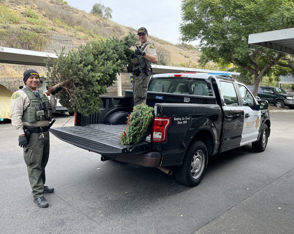 Suspect Arrested for Theft of Christmas Trees – Santa Barbara County ...